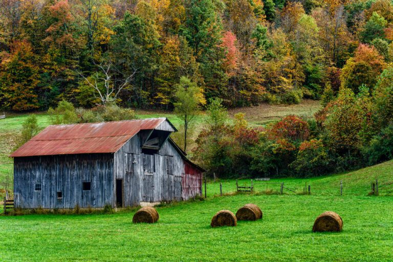 These Are the 4 Most Depressed States in America – Page 2 – Retired in USA